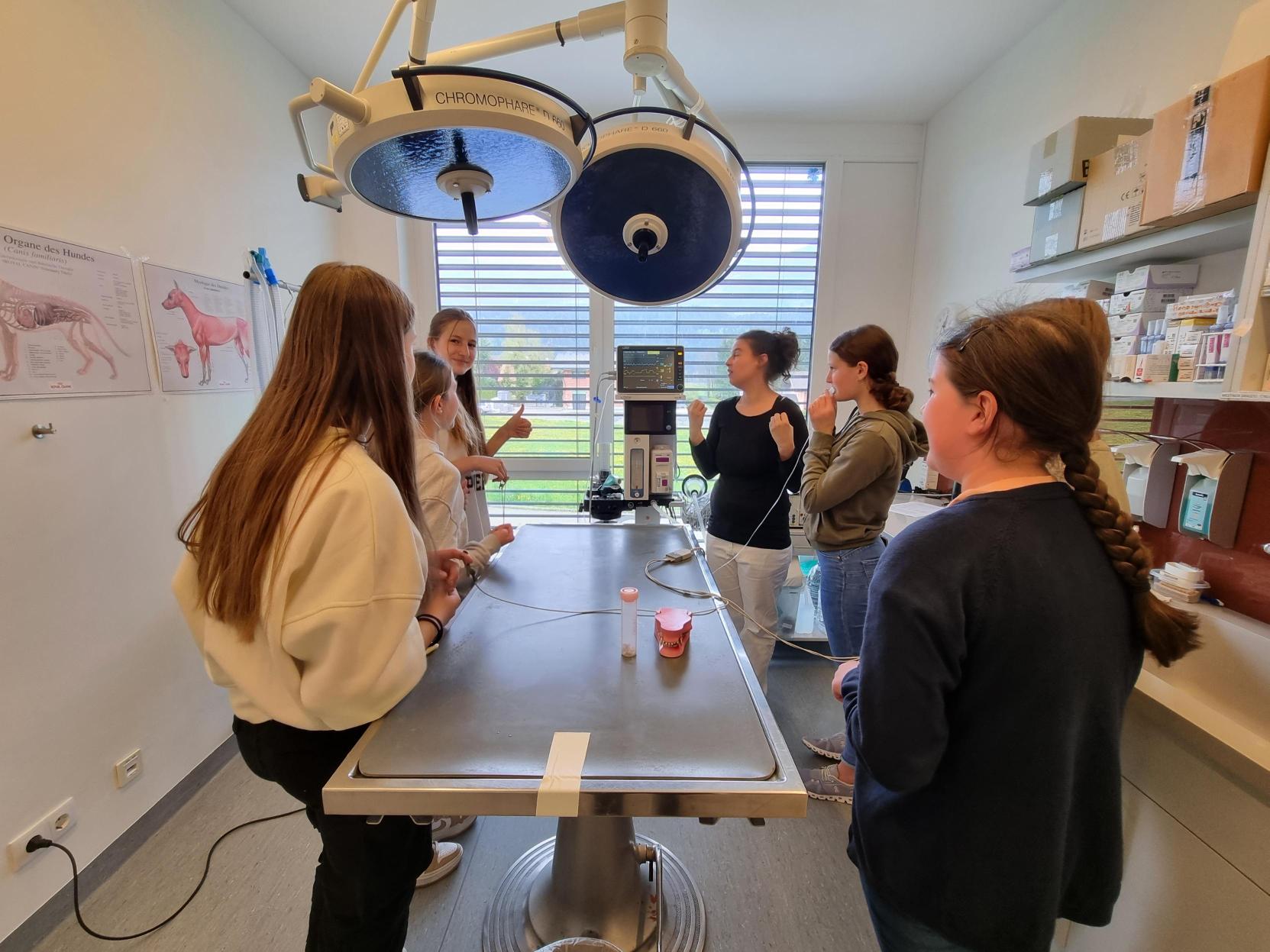 Exkursion 3A Labor - BG|BRG Porcia